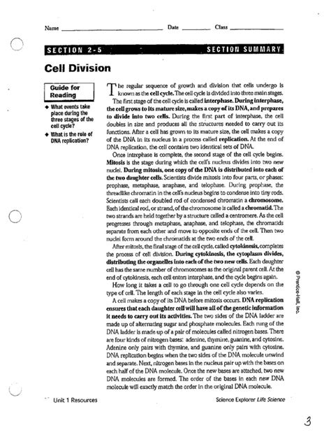 Cell Division Summary Pdf