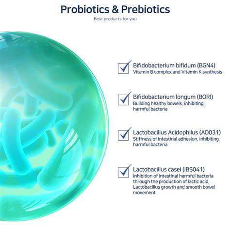 Probiotics Supragut Alchemy Functional Healthy Food Gastrointestin