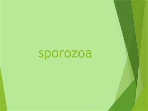Sporozoapptx Sporozoa Power Point Presentation Pptx