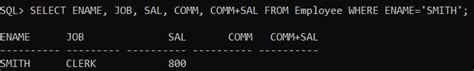 Is Null Operator In Oracle With Examples Dot Net Tutorials