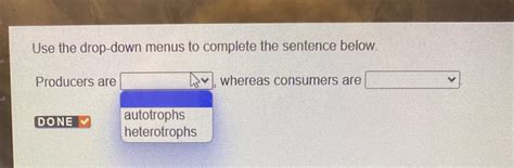 use the drop down menus to complete the sentence below producers are