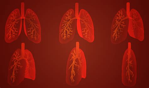 벡터 세트 3d 폐와 기관지 컬러 배경에 의료 디자인을위한 요소 3차원 형태에 대한 스톡 벡터 아트 및 기타 이미지 3차원 형태 가능성 가방 Istock