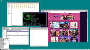 Cursed Linux Images