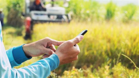 Oad En Viticulture Définition Utilité Et Innovation Avec Viti Tunnel