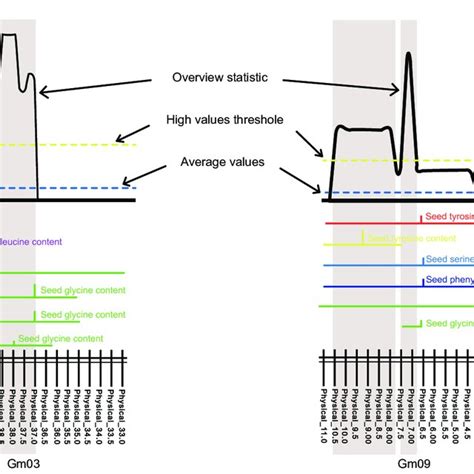Genes Of All Meta Analysis Qtl Sections Download Scientific Diagram