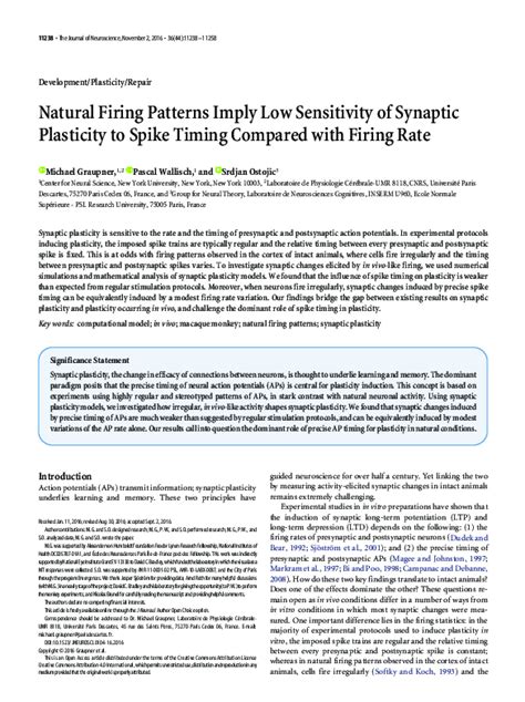 Pdf Natural Firing Patterns Imply Low Sensitivity Of Synaptic Plasticity To Spike Timing