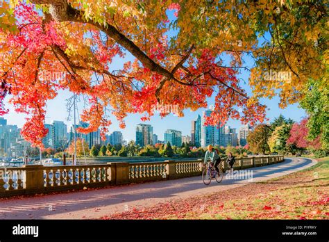 Stanley Park Vancouver Bc Ca Vancouver Skyline View From Stanley Park