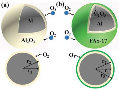 Coreshell Model Of A ANPs And B AFNPs Download Scientific Diagram