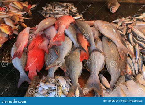 Fresh Fish Seafood Stock Image Image Of Ocean Ingredient 116964767