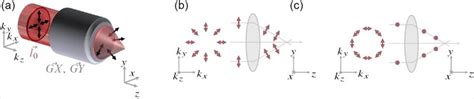 A Schematic Representation Of Cylindrical Vector Beams Under Tight