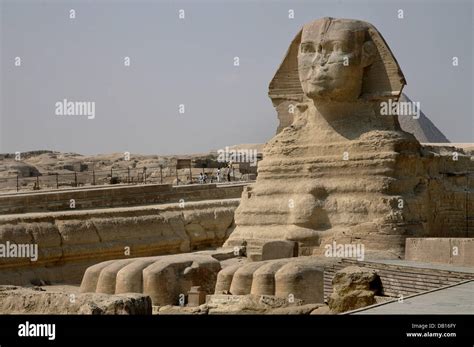 The Picture Shows The Great Sphinx Of Giza In Giza Egypt 4 October 2007 The Statue Of A Lion