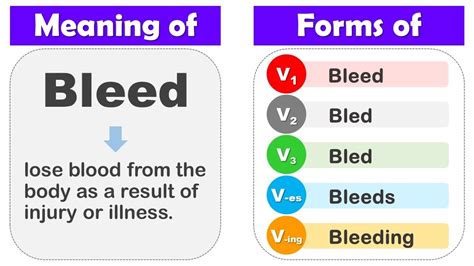 Bleed Past Tense V1 V2 V3 V4 V5 Form Of Bleed Past Participle Of Bleed And Example Sentences