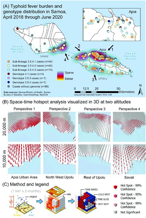 Spatial Temporal And Genomic Analysis Of Typhoid Fever Cases Burden Download Scientific