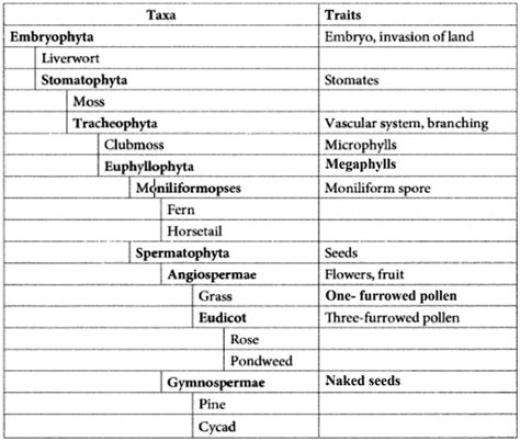 Solved The Table Shows A Classification Of The Land Plants In Indented