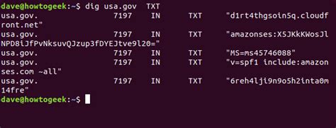 How To Use The Dig Command On Linux