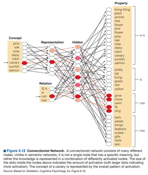 Connectionist Perspective To Memory And 2 Important Challanges To It