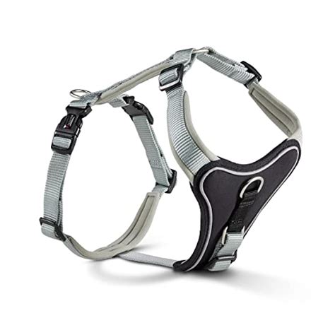 Wolters Geschirr Professional Comfort Die 15 Besten Produkte Im Vergleich Haustierratgeber