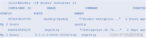 Docker 容器监控知多少 网络文件共享
