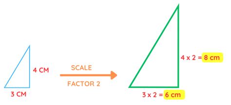 Complete Guide Enlargement Using Negative Scale Factor