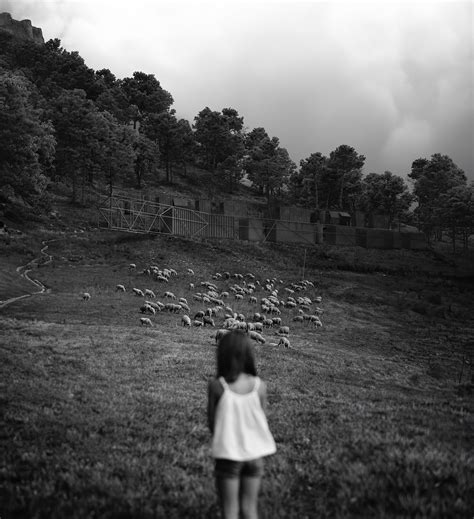 A Narrative Framework Behance