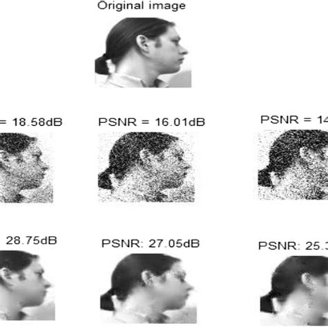 Robustness Of The Proposed Method Based On K Svd In Facing Different Download Scientific