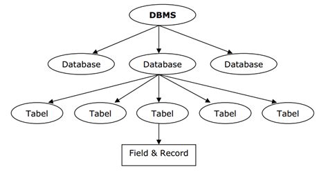 Pengertian Database Mysql