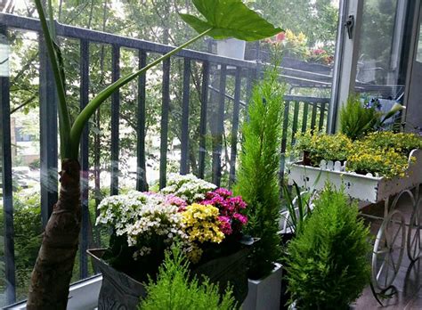 아파트 베란다 정원 예쁘게 꾸미기 네이버 블로그