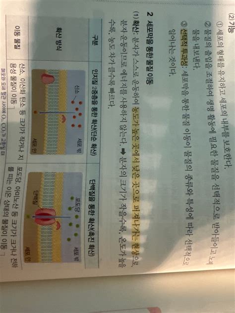 분자운동의 에너지사용 지식in