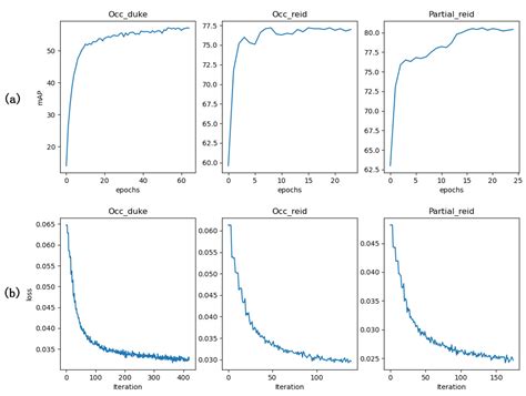 A Multi Scale Graph Attention Based Transformer For Occluded Person Re