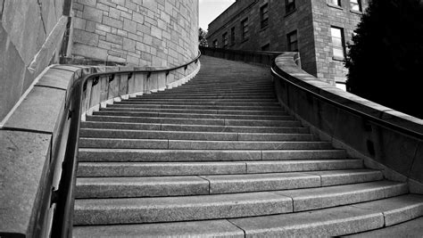 How To Update A Wordpress Theme Plethora Themes