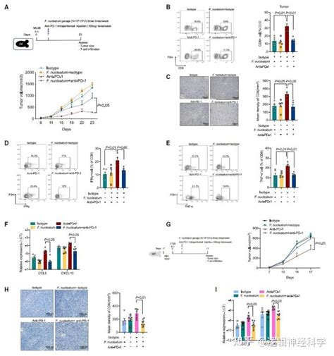 Cell Host And Microbe丨上海交通大学房静远陈萦晅团队发现具核梭杆菌促进结直肠癌免疫治疗抵抗 知乎