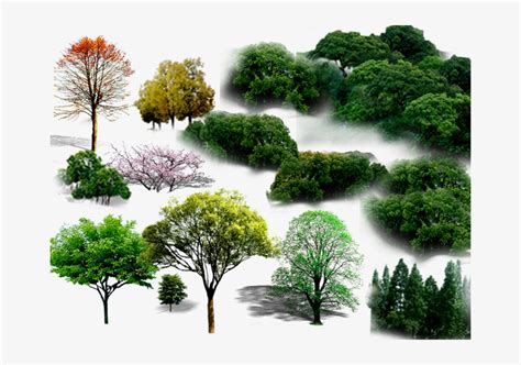 Tree Png File Hd Trees Landscape Psd PNG Image Transparent PNG Free Download On SeekPNG
