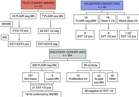Flowchart Of The Pilot Discovery And Validation Cohorts Initial Download Scientific Diagram