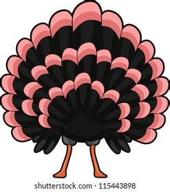 Turkey Tail Feathers Clip Art