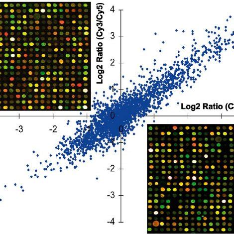 A Dye Swap Experiment Of Microarray The Center Plot Is The Log 2 Ratio Download Scientific