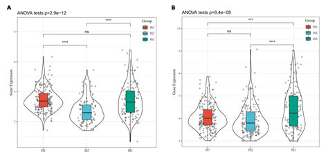 Figure 4 From Identification And Validation Of Immune Molecular
