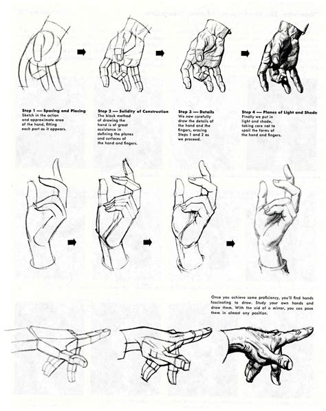 Anatomy Drawing Reference Poses At Jeremy Perrin Blog