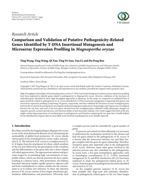 Pdf Comparison And Validation Of Putative Pathogenicity Related Genes Identified By T Dna