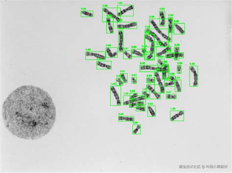 显微镜图像处理【部署】 Pytorch模型转onnx使用gpu进行推理 技术栈