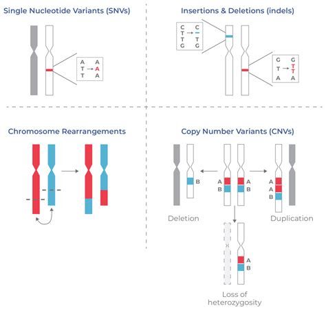 Clonal Evolution In Cancer Mission Bio