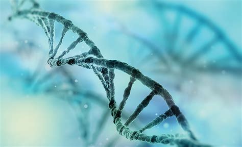 Dna String Assured Enterprises Serious Cybersecurity