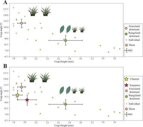 A Bivariate Graph Of Cusp Angle And Cusp Height Values For Rangeland Download Scientific