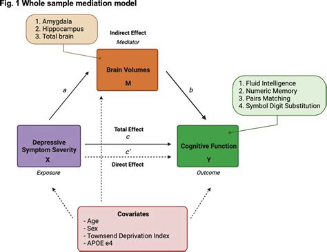Hippocampal Volume Mediates The Association Between Depression And