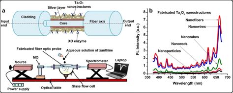 A Illustration Of Electrospun Ta2o5 Nanofiber Coated Optical Probe With Download Scientific