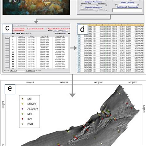 Classification Gui Showing A Video Frame Grab With Satellite Derived Download Scientific