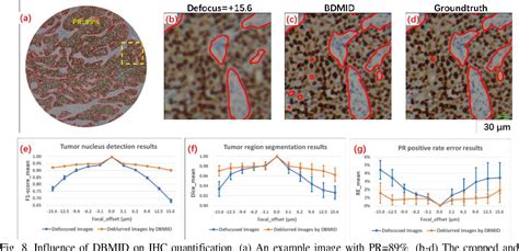 Figure 1 From Blind Deblurring For Microscopic Pathology Images Using Deep Learning Networks