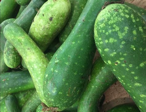 Itching For Fuzzy Melon Soup Mo Gwa Tong毛瓜汤 3jamigos