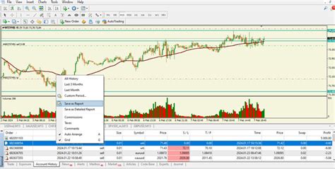 استیتمنت فارکس چیست؟ ۱۷ فاکتور مهم برای زیر ذره‌بین‌ گذاشتن تاریخچه