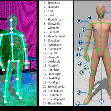 a the depth map acquired by the kinect v2 sensor b the 25 body