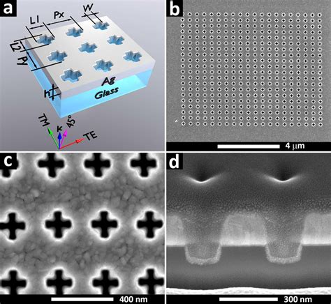 A Design Of Cross Shaped Aperture Arrays Linearly Polarized Light Is Download Scientific